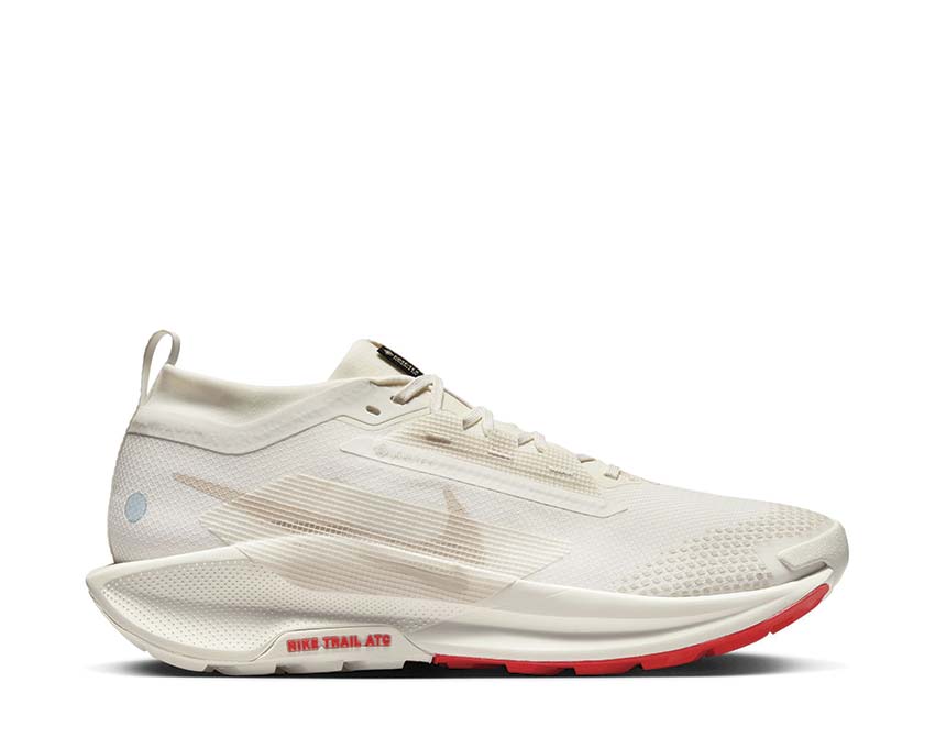 Acheter Nike Pegasus Trail 5 GTX FQ0908-100 - NOIRFONCE